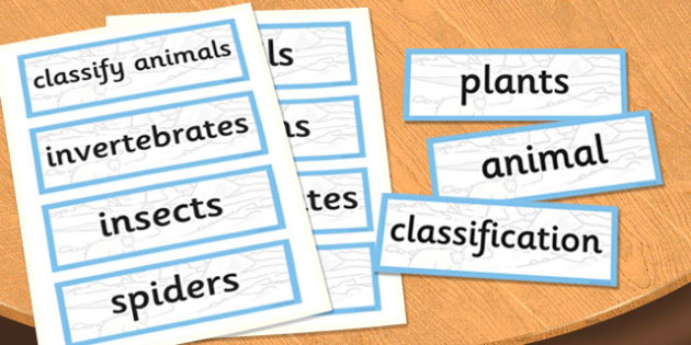 Y6 Living Things and their Habitats Scientific Vocabulary Cards