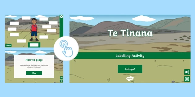 Te Reo Māori: Interactive Te Tinana Labelling Activity