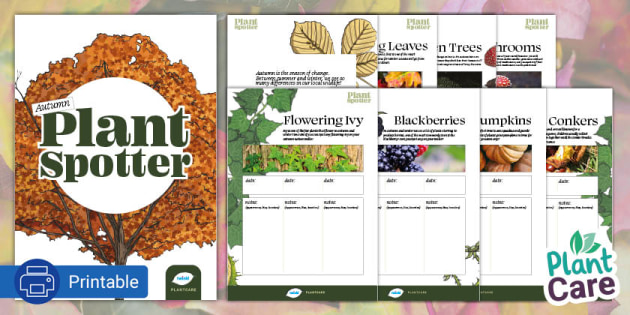 FREE! - Autumn Plant Spotter Booklet (teacher made)