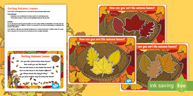 👉 Autumn Leaves Sorting Activity