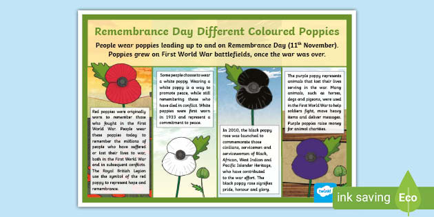 Remembrance Day Different Coloured Poppies Poster