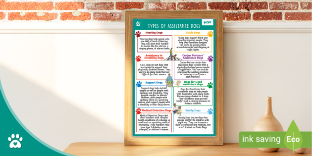 Types of Assistance Dogs - Display Poster - Twinkl Pets