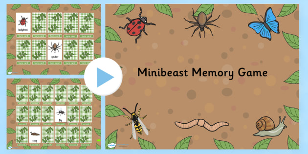 Minibeast Memory Game PowerPoint - minibeasts, memory, game