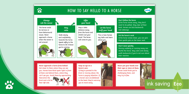 How to Say Hello to a Horse - Sequencing Poster - Pet Care