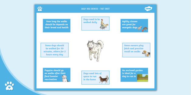 Daily Dog Exercise - Fact Sheet - Pet Care - Twinkl Pets