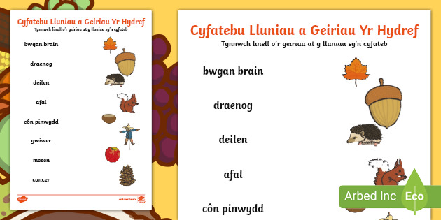 Taflen Cyfateb Llun a Gair Yr Hydref (teacher made)