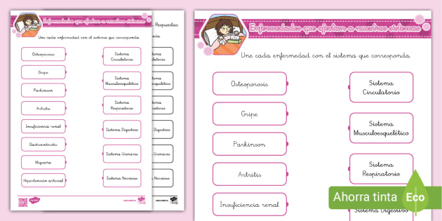 Hojas De Trabajo Sobre Los Sistemas Del Cuerpo