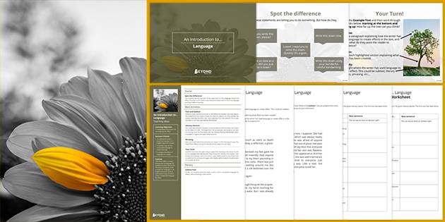 An Introduction to Language Lesson Pack