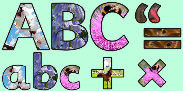 Spring Themed A4 Photo Display Lettering