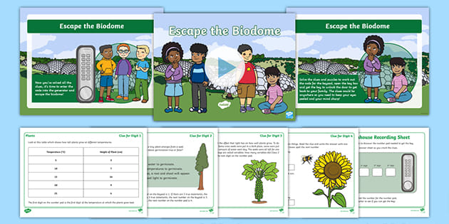 Year 2 Plants Escape the Room (teacher made)