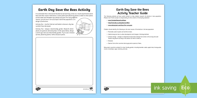 LKS2 Earth Day Save the Bees (teacher made)