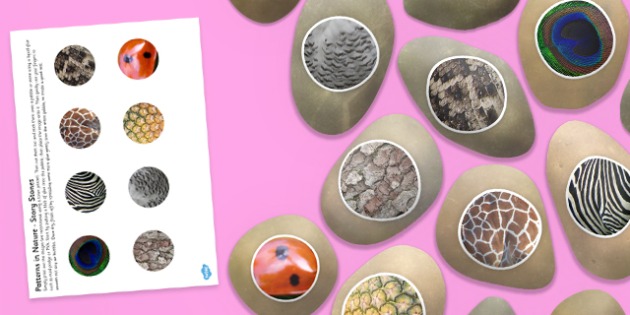 Patterns in Nature Story Stone Image Cut Outs (teacher made)