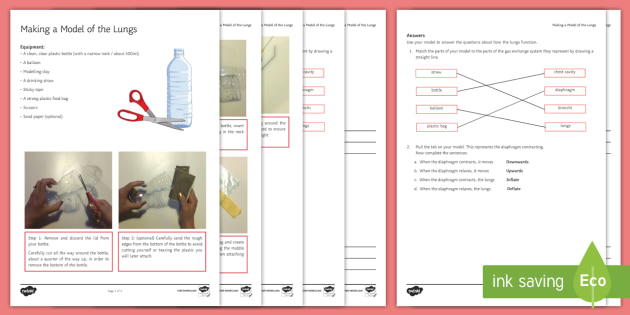 Modelling Lung Action Investigation Instruction Sheet Print-Out