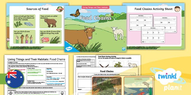 Year 1 Science Living Things Lesson 6 Food Chains