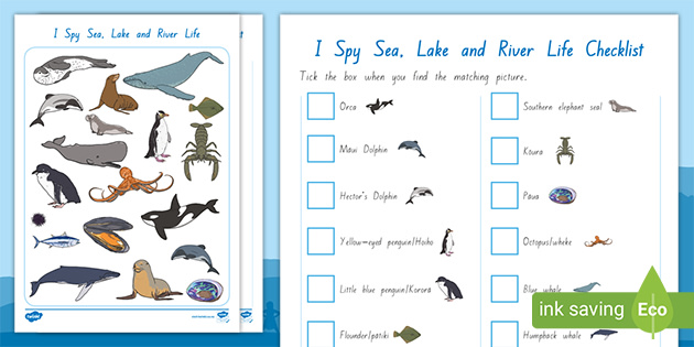 I Spy In the Water (teacher made)