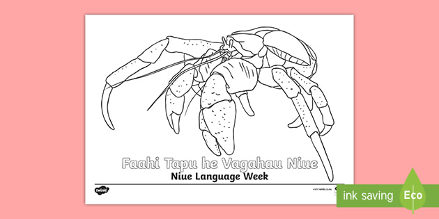Niue Language Week Colouring Sheet (teacher made)