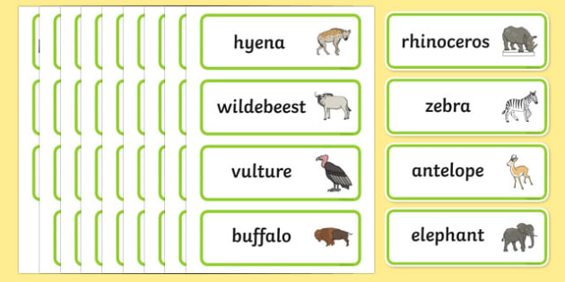FREE! - Savannah Animals Topic Cards (teacher made)