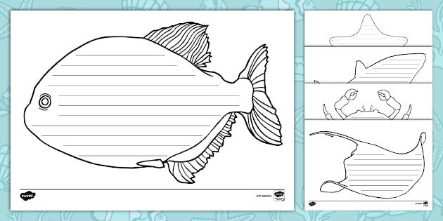 Creative Writing Displays | twinkl.com.au