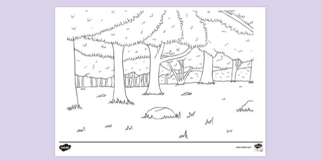 FREE! - Woods in Forest Colouring Sheet (teacher made)