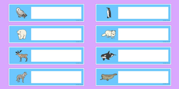 Polar Animals Gratnells Tray Labels (teacher made)
