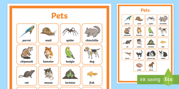 Pets Word Grid - KS2 National Pet Month (April 2017), pets, animals ...
