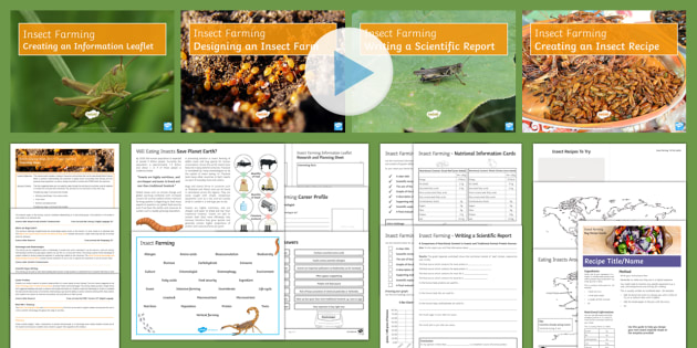 British Science Week 2017: Insect Farming Resource Pack