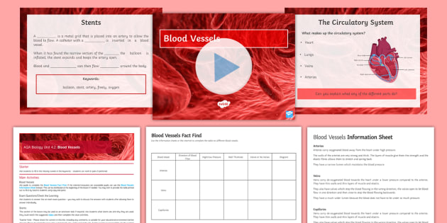 AQA Biology Unit 2 Blood Vessels Cover Lesson Pack