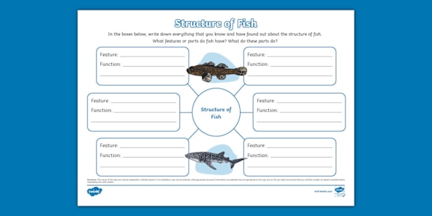 Fish Mind Maps | twinkl.co.uk