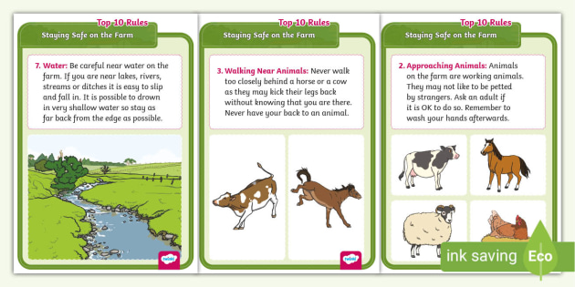 Staying Safe on the Farm Top 10 Rules Posters (teacher made)