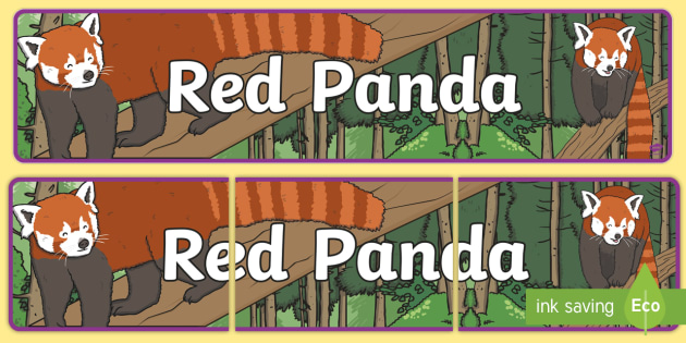 👉 Red Panda Display Banner (teacher made)