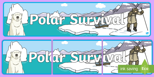 Polar Explorer Display Banner