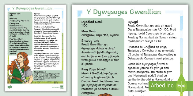 Ffeil Ffeithiau Y Dywysoges Gwenllian