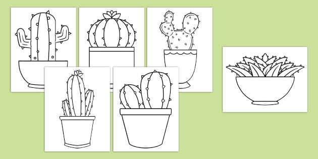 Cactus Templates (teacher made)