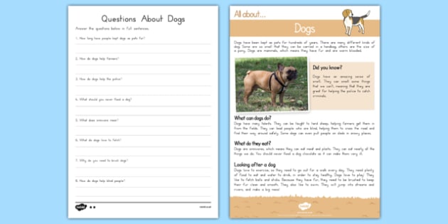 Dogs Reading Comprehension - usa, america, Reading comprehension, dog, find