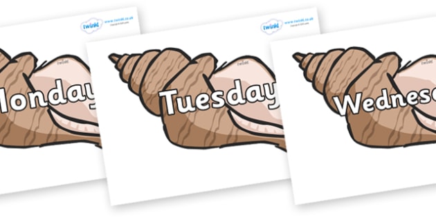 Days of the Week on Sea Shells (teacher made)