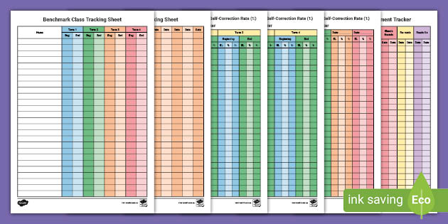 Benchmark Class Tracking Sheet (teacher made)