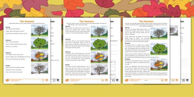 Seasons Reading Comprehension PDF – KS1 Resource
