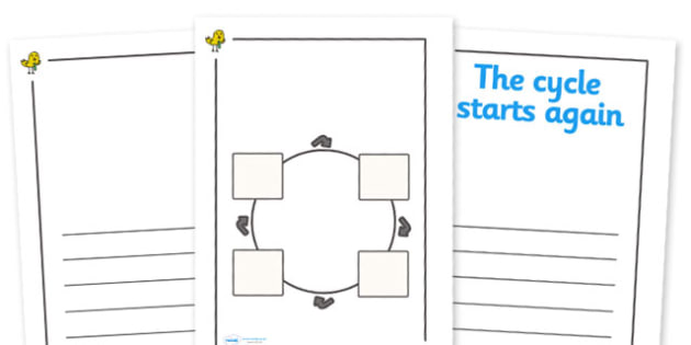 Editable Life Cycle Workbook (teacher made)