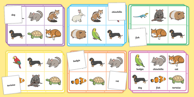 Pets Themed Bingo (teacher made)