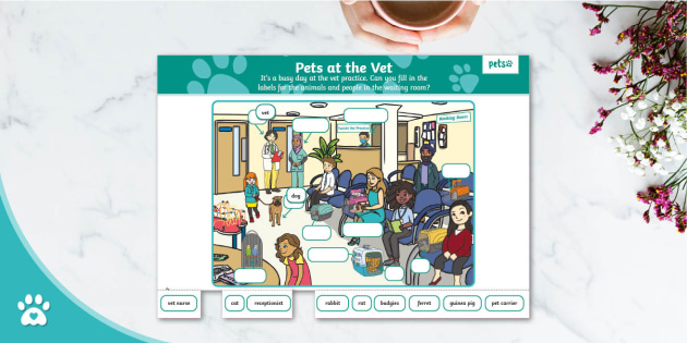 Pets at the Vet - Labelling Activity - Pets Activity Sheet