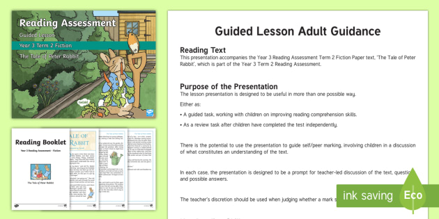 Year 3 Term 2 Fiction Reading Assessment Guided Lesson Teaching Pack