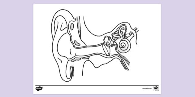 Colouring Sheet | Colouring Sheets (teacher made)