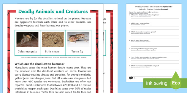 Deadly Animals and Creatures Differentiated Reading Comprehension Activity