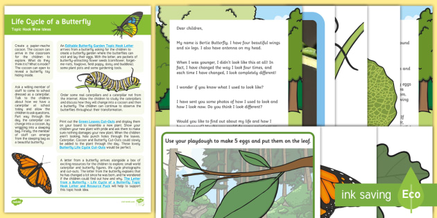 Life Cycle of a Butterfly Topic Hook Resource Pack