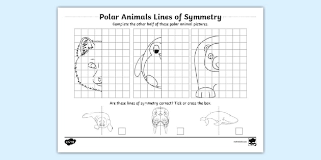 Animal Symmetry Worksheets {Animal Symmetry} {Symmetry Drawing} {Lines
