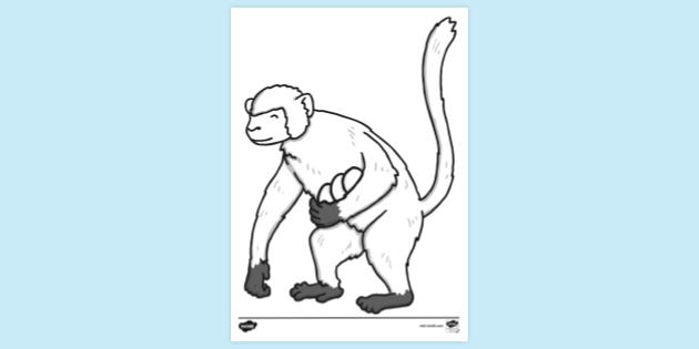 FREE! - Monkey with Mangos Colouring Sheet | Colouring Sheets