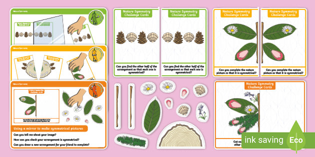 👉 EYFS Symmetrical Chilli Challenge Cards: Nature Symmetry