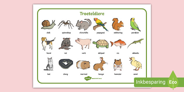 Troeteldiere Woordmat (Teacher-Made)