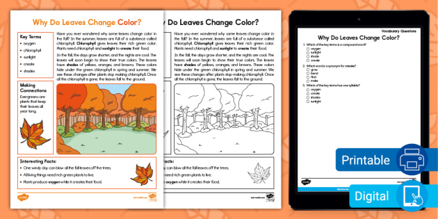Why Leaves Change Color Worksheet