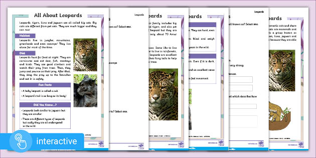 KS1 Leopards Interactive PDF Differentiated Reading Comprehension Activity